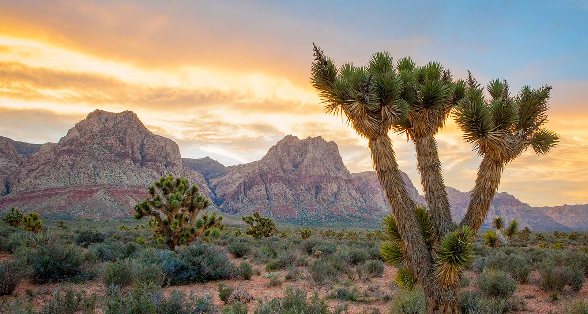 Self Drive and discover Neon to Nature in Nevada